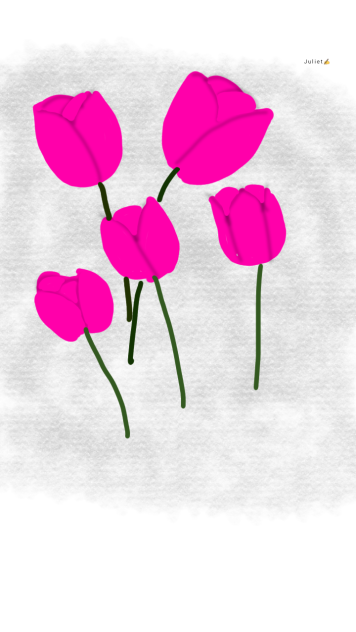 Tulips - ibisPaint