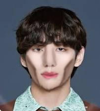 uhhh...V perfect face- - ibisPaint