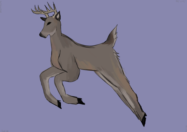 ^ Deer ^ - ibisPaint