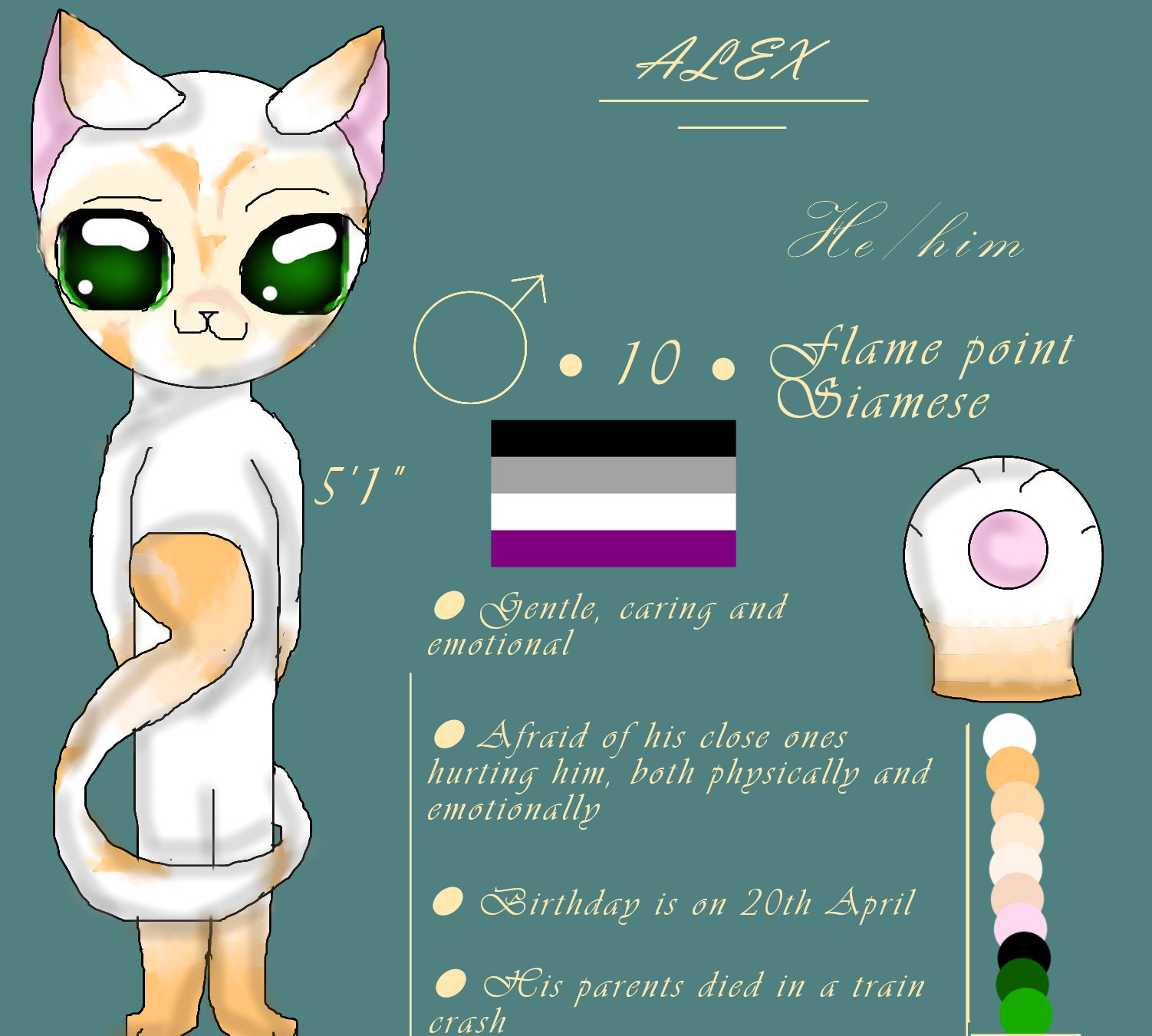 Alex ref - ibisPaint