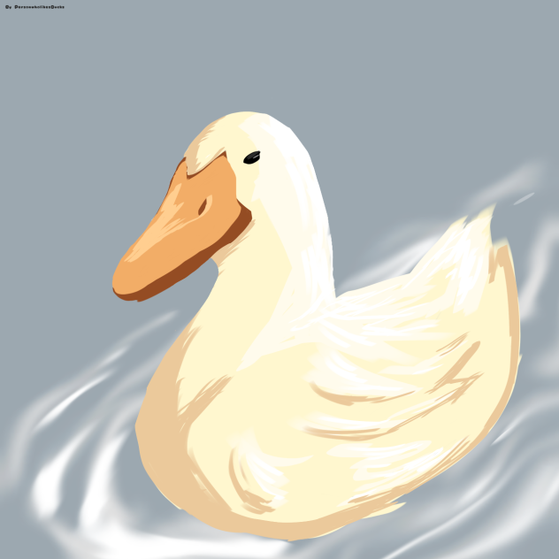 A duck - ibisPaint