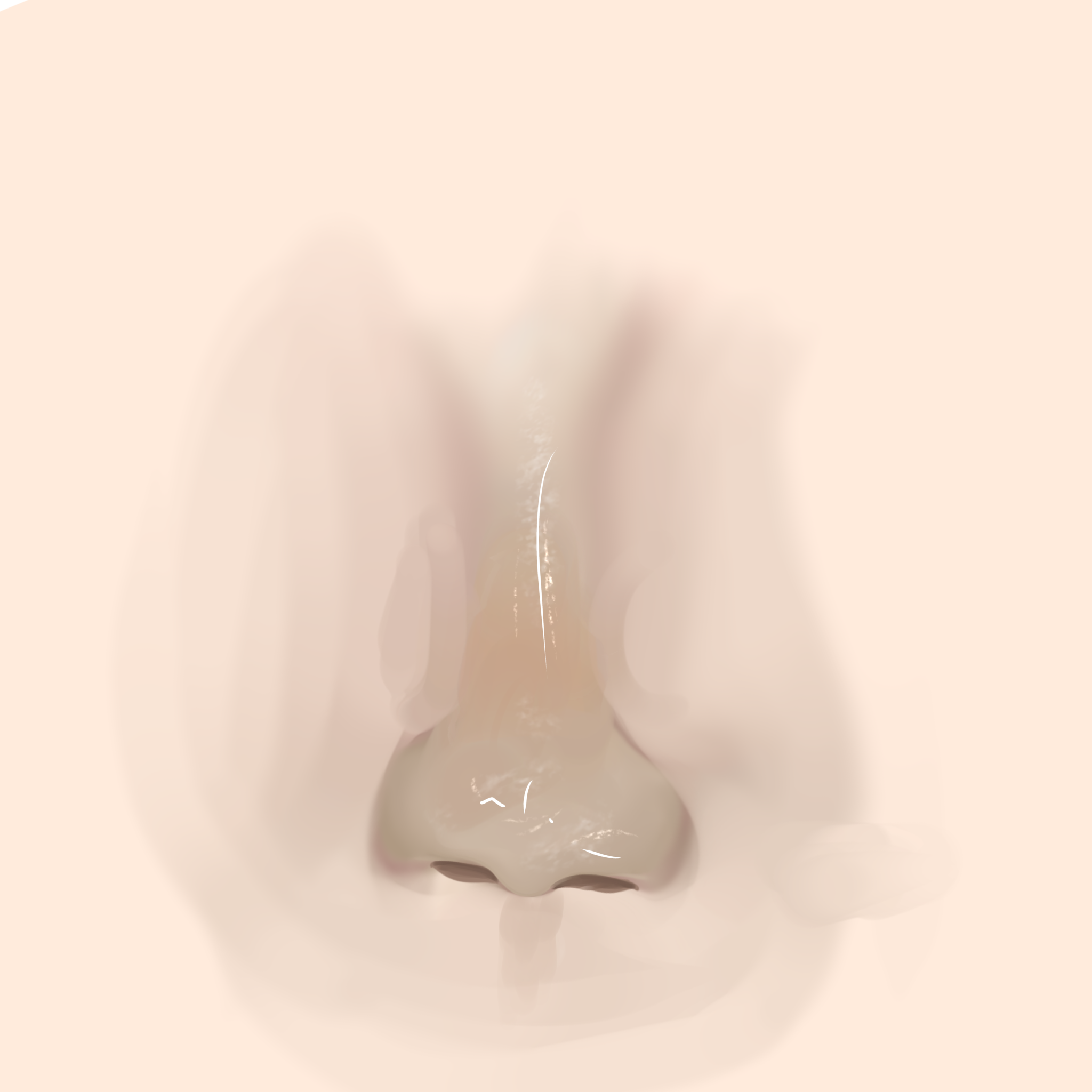 Semi-Realism nose - ibisPaint