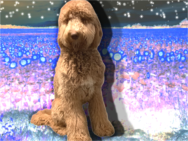 Le handsome boi collab - ibisPaint