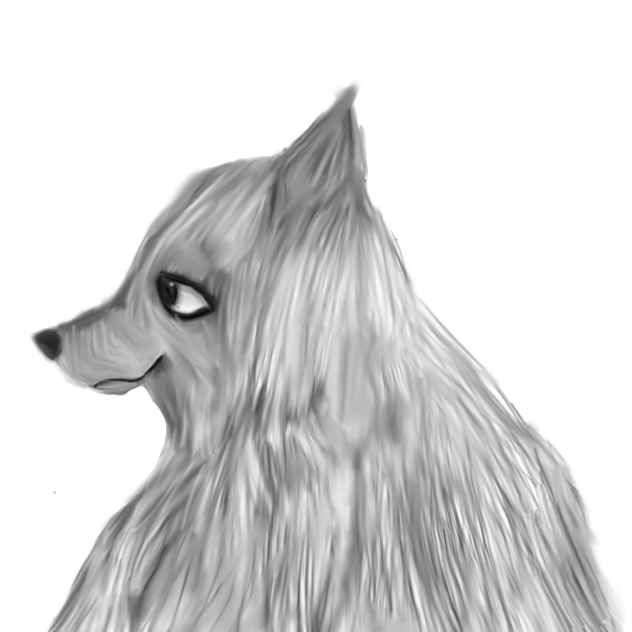 wolf - ibisPaint