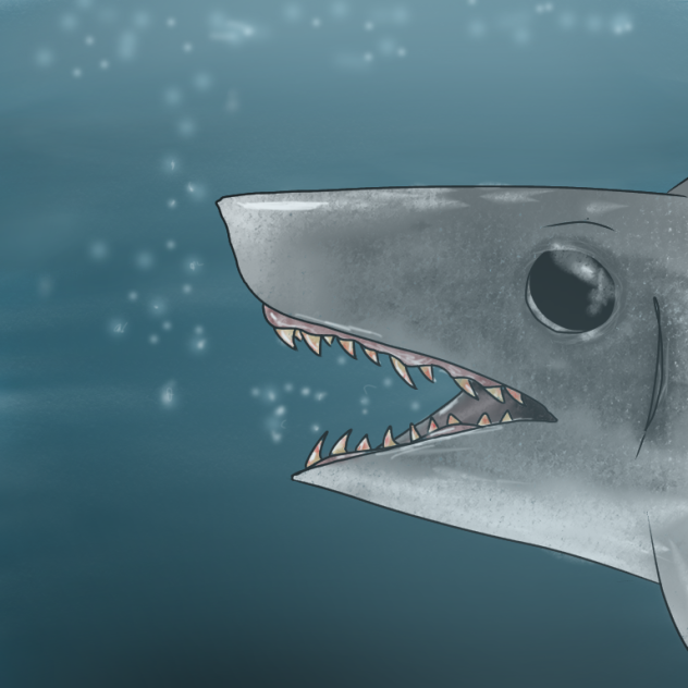 Shark - ibisPaint