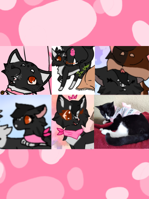 In loving memory of Diamond - ibisPaint