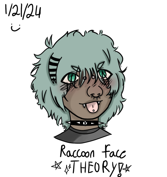 Raccoon face theory💅🏼 - ibisPaint