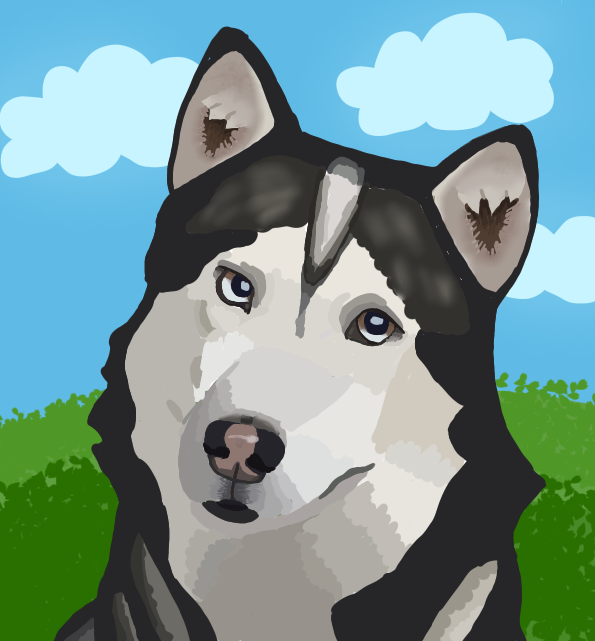 First drawing of Abstract dog (Husky) - ibisPaint