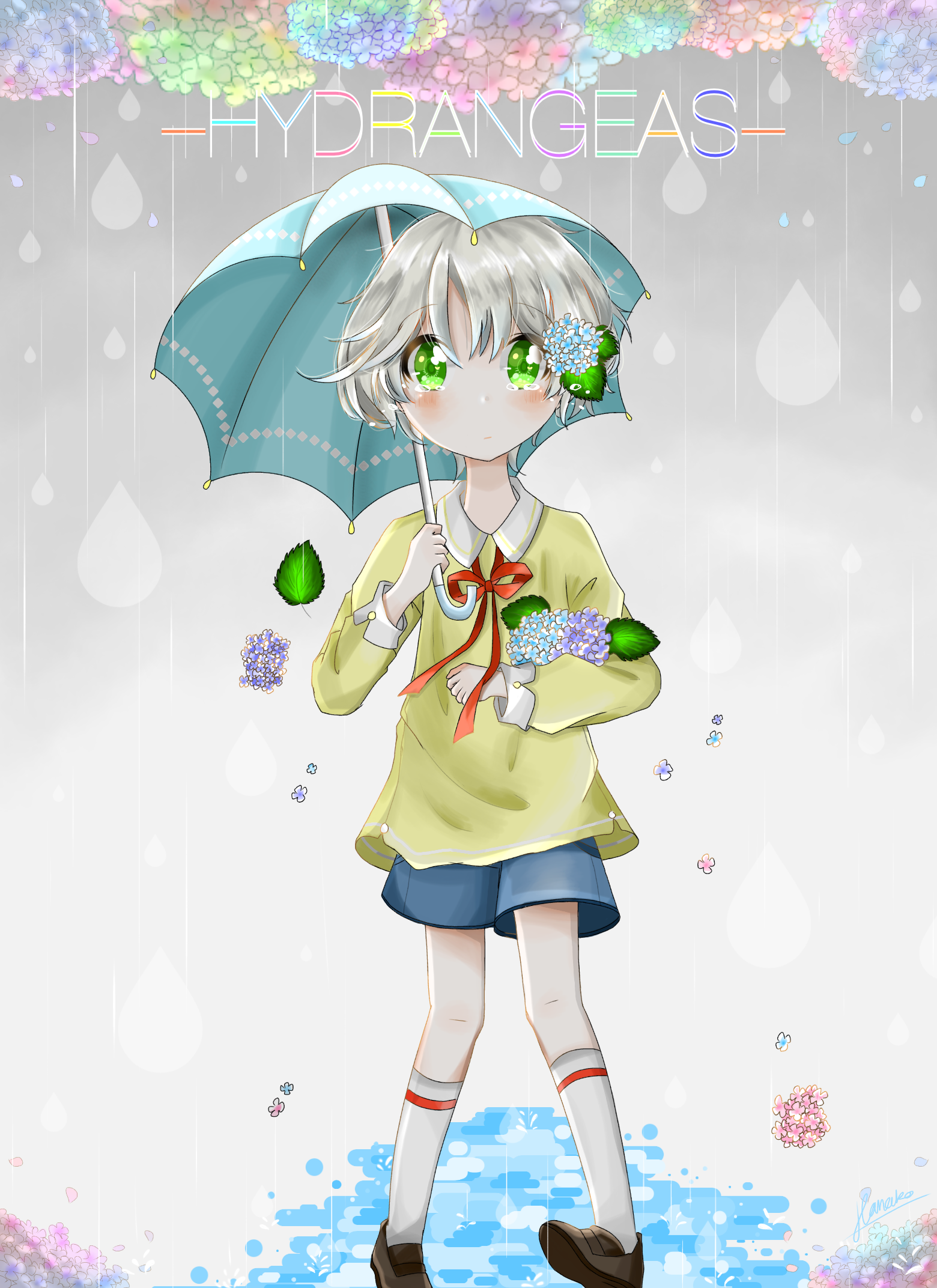 HYDRANGEAS - ibisPaint