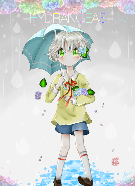 HYDRANGEAS - ibisPaint