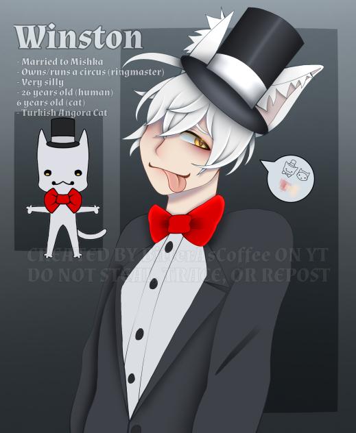 Winston Turkish Angora Cat As Human - ibisPaint
