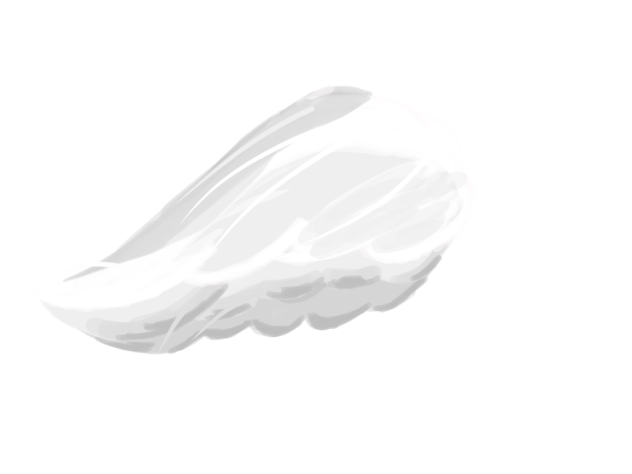 angel wing - ibisPaint