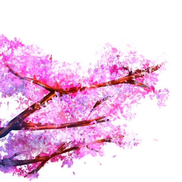 Cherry blossom tree branch scenery - ibisPaint