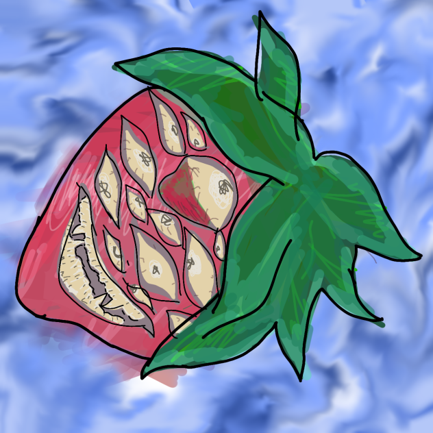 strawberry - ibisPaint