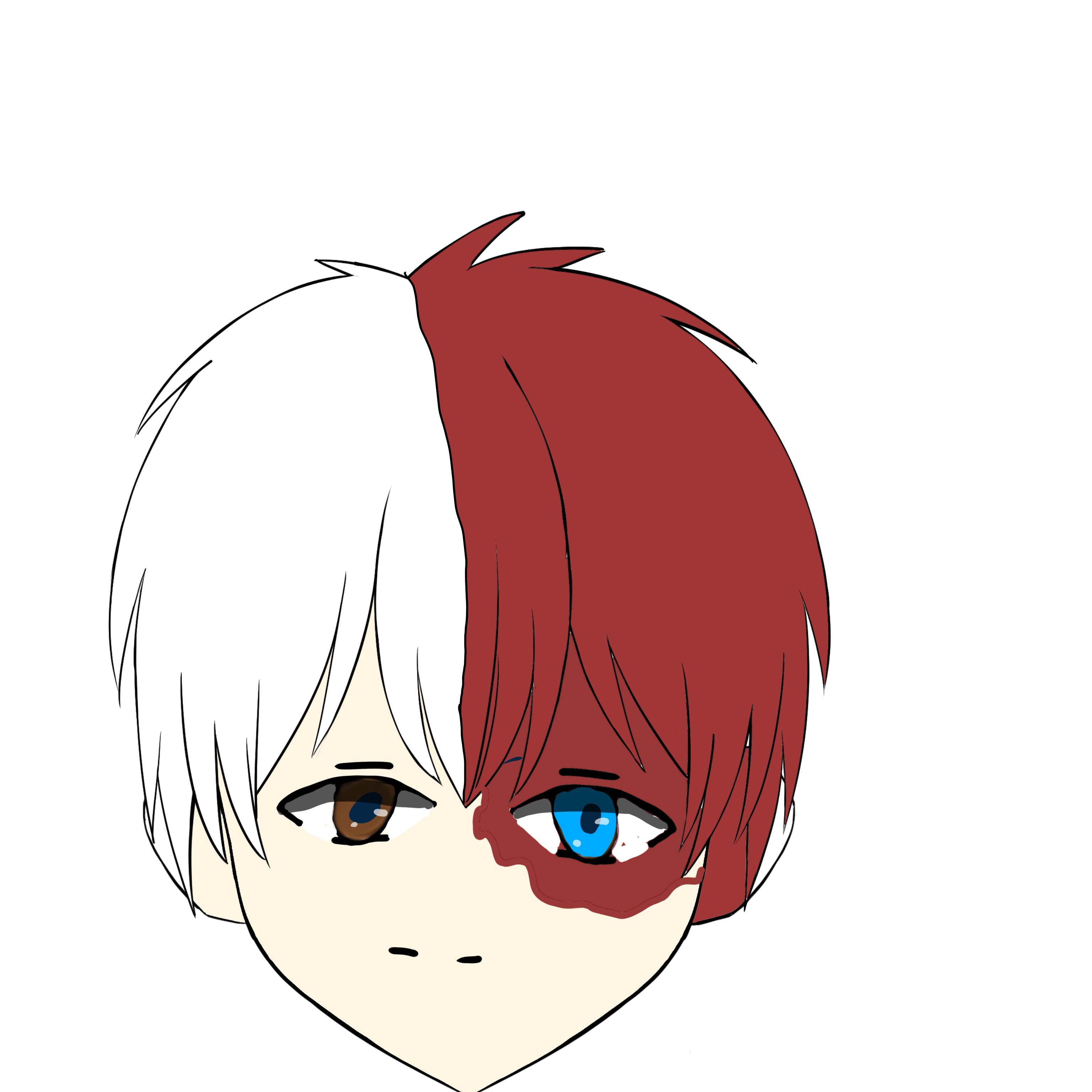 Todoroki - ibisPaint