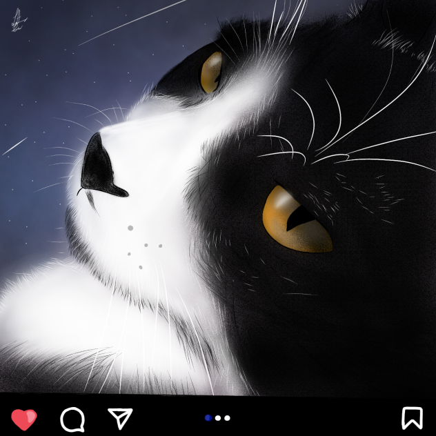 the star cat - ibisPaint