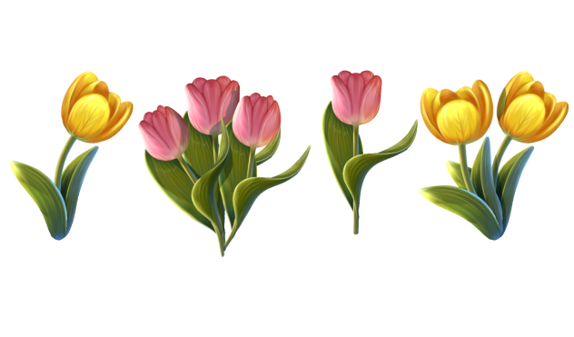 Tulips 🌷🌷🌷 - ibisPaint