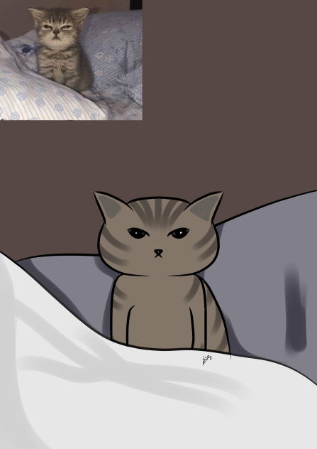 upset kitten - ibisPaint