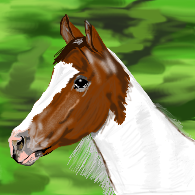horse - ibisPaint