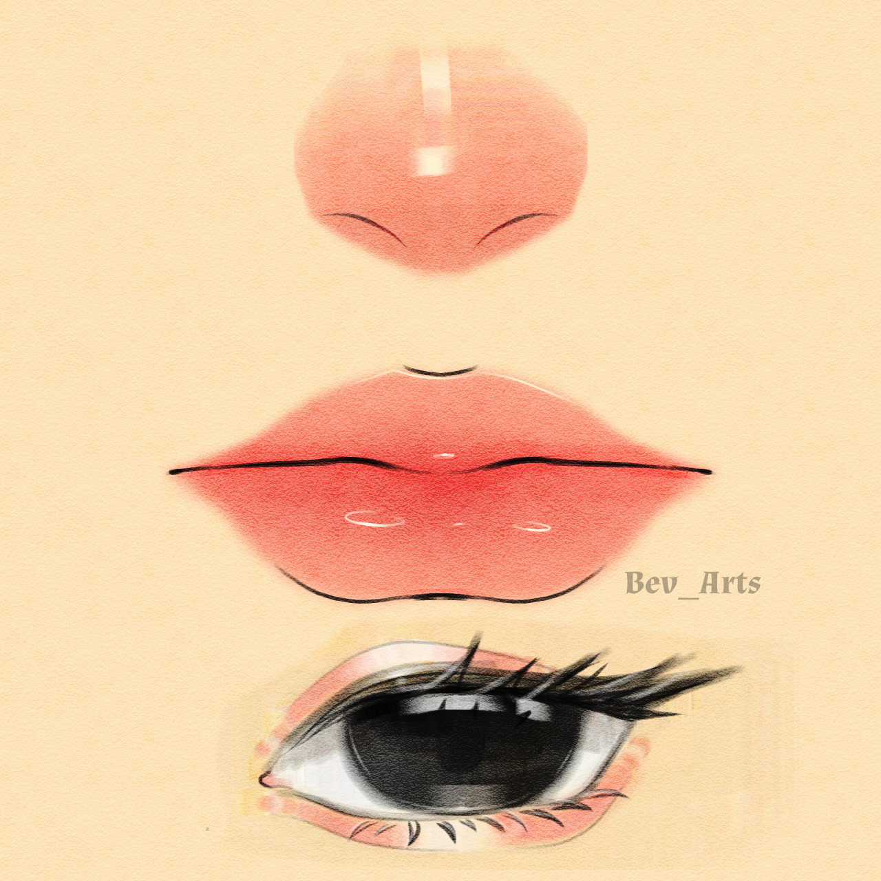 Study - ibisPaint