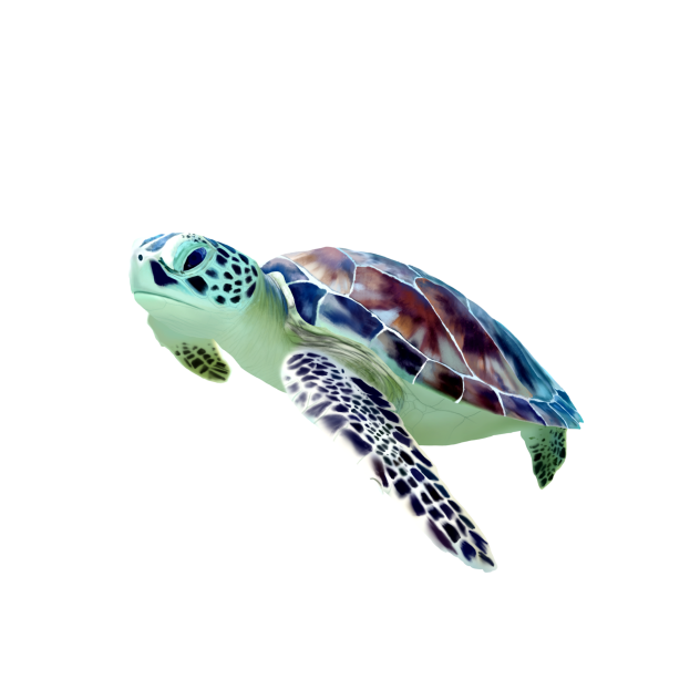 sea turtle - ibisPaint