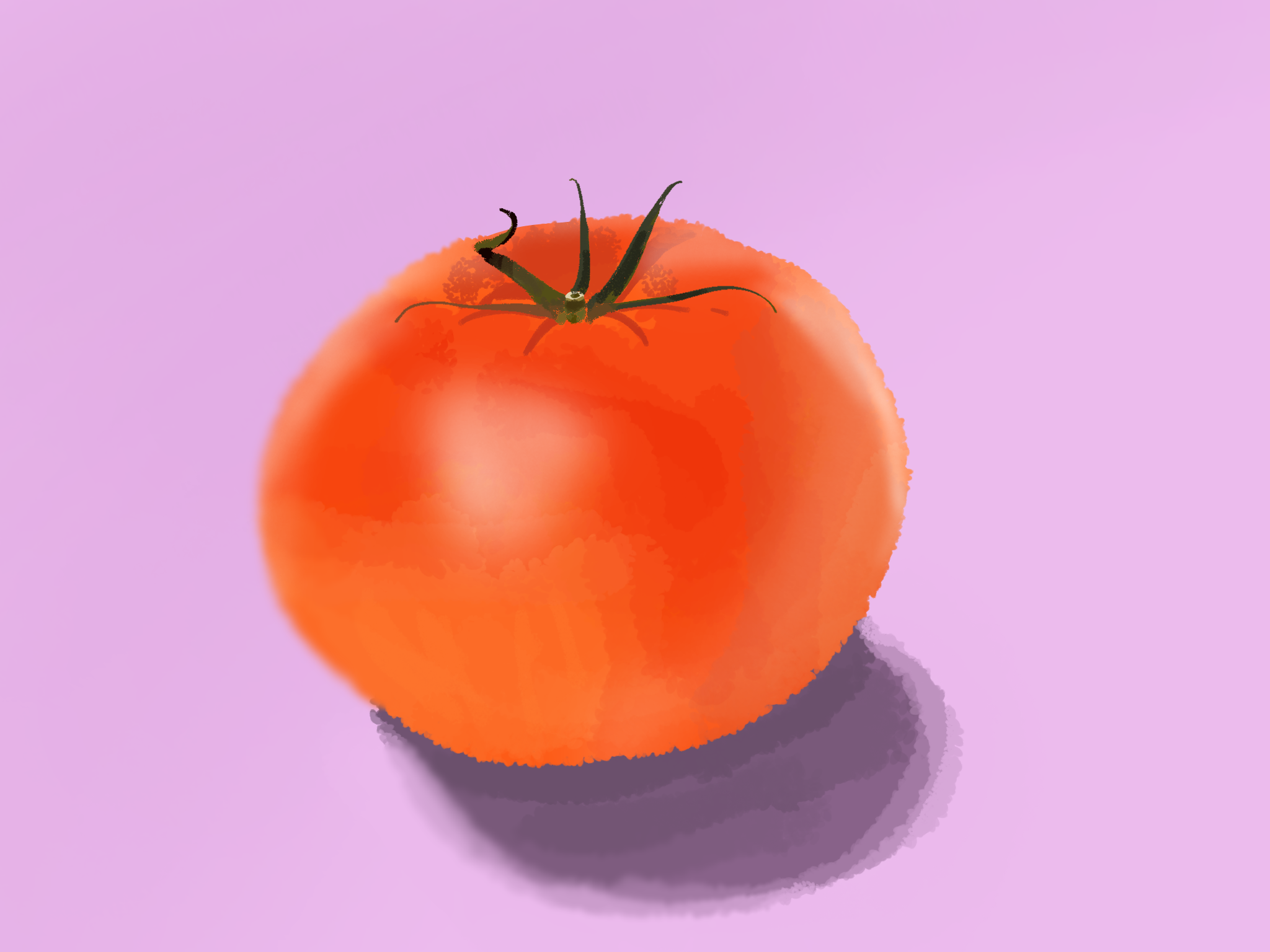 토마토 (tomato) - ibisPaint