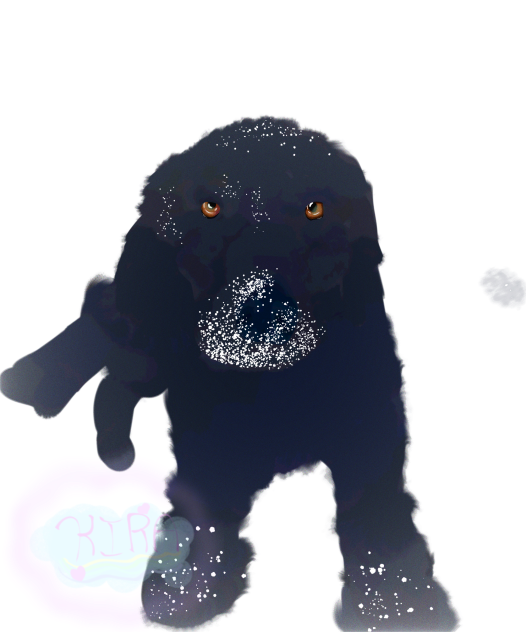 dog - ibisPaint