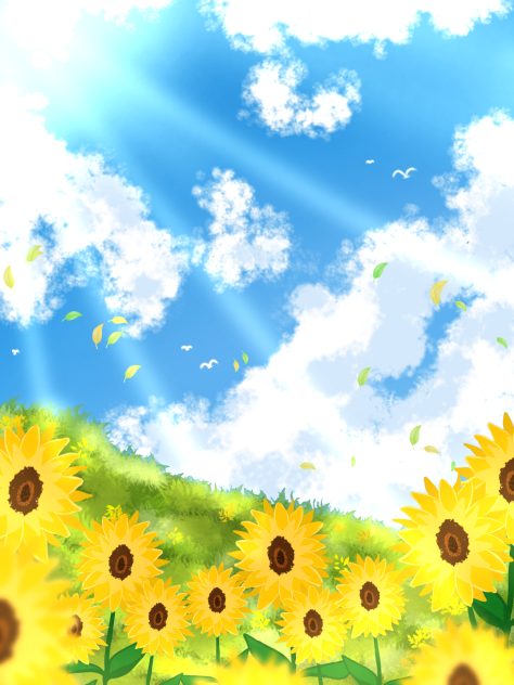 Sunflower Field - ibisPaint