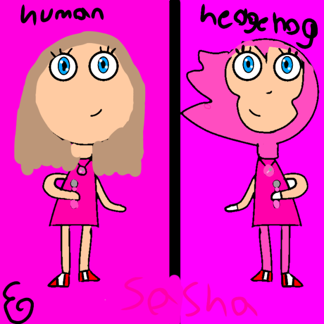 Sasha the hedgehog,Sasha Phillips - ibisPaint