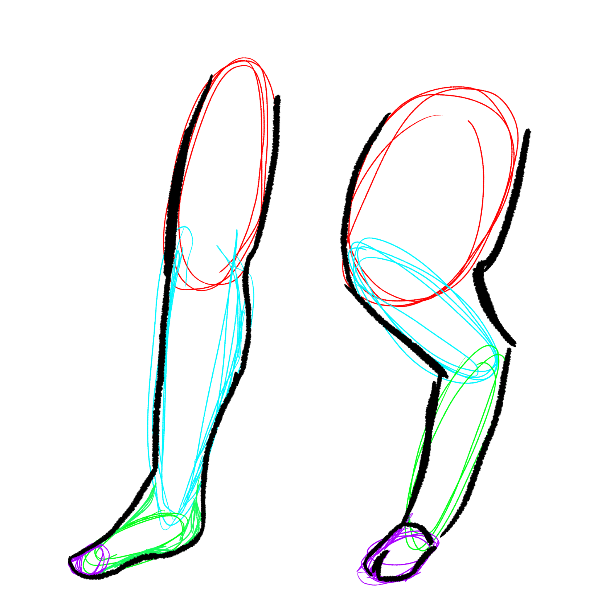 Leg comparison - ibisPaint