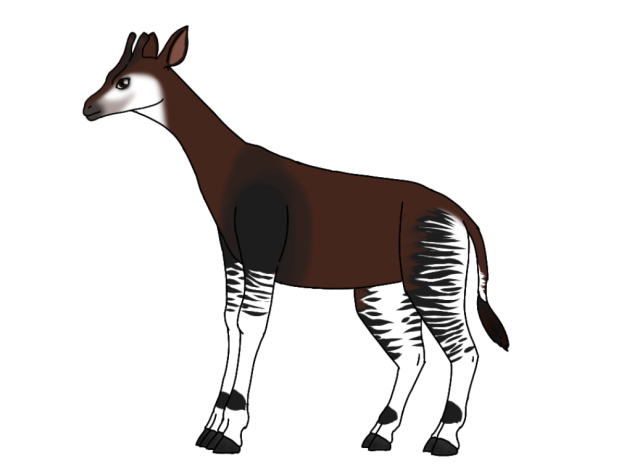 Okapi render - ibisPaint