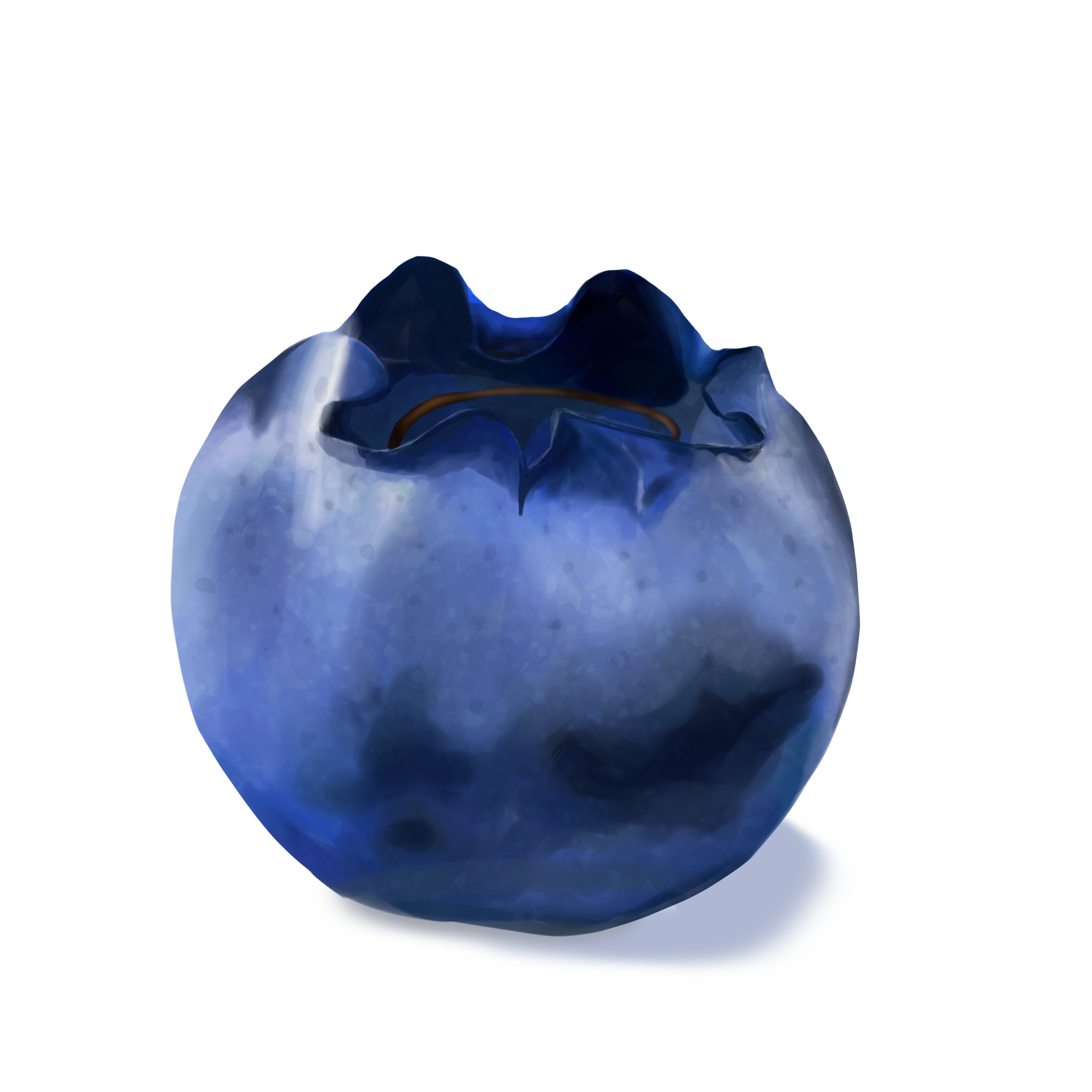 Blueberry - ibisPaint