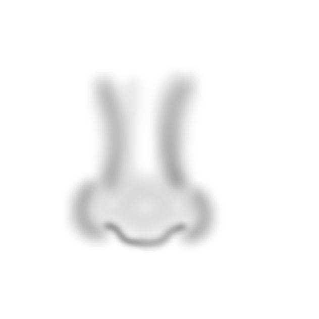 real nose - ibisPaint