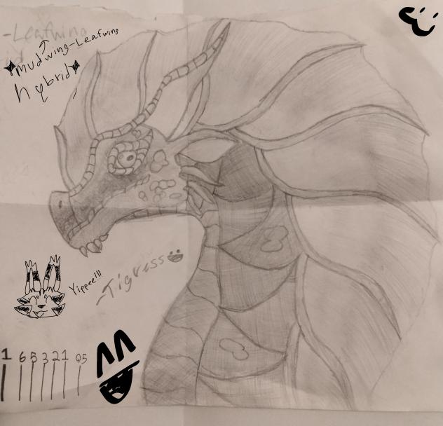 Mud-leafwing hybrid - ibisPaint