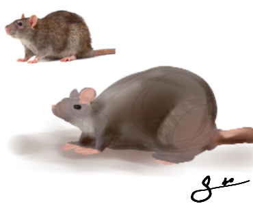 ratatui - ibisPaint