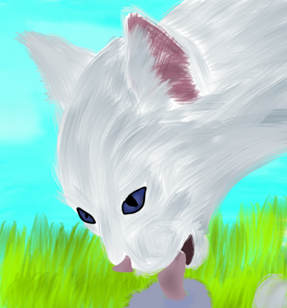 Cat warriors - ibisPaint