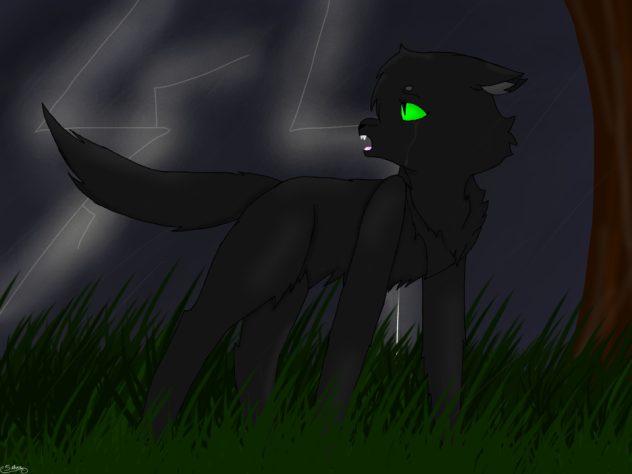 Fear the thunder ~HollyLeaf~ - ibisPaint