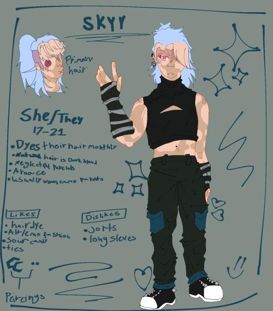 skyy oc ref - ibisPaint