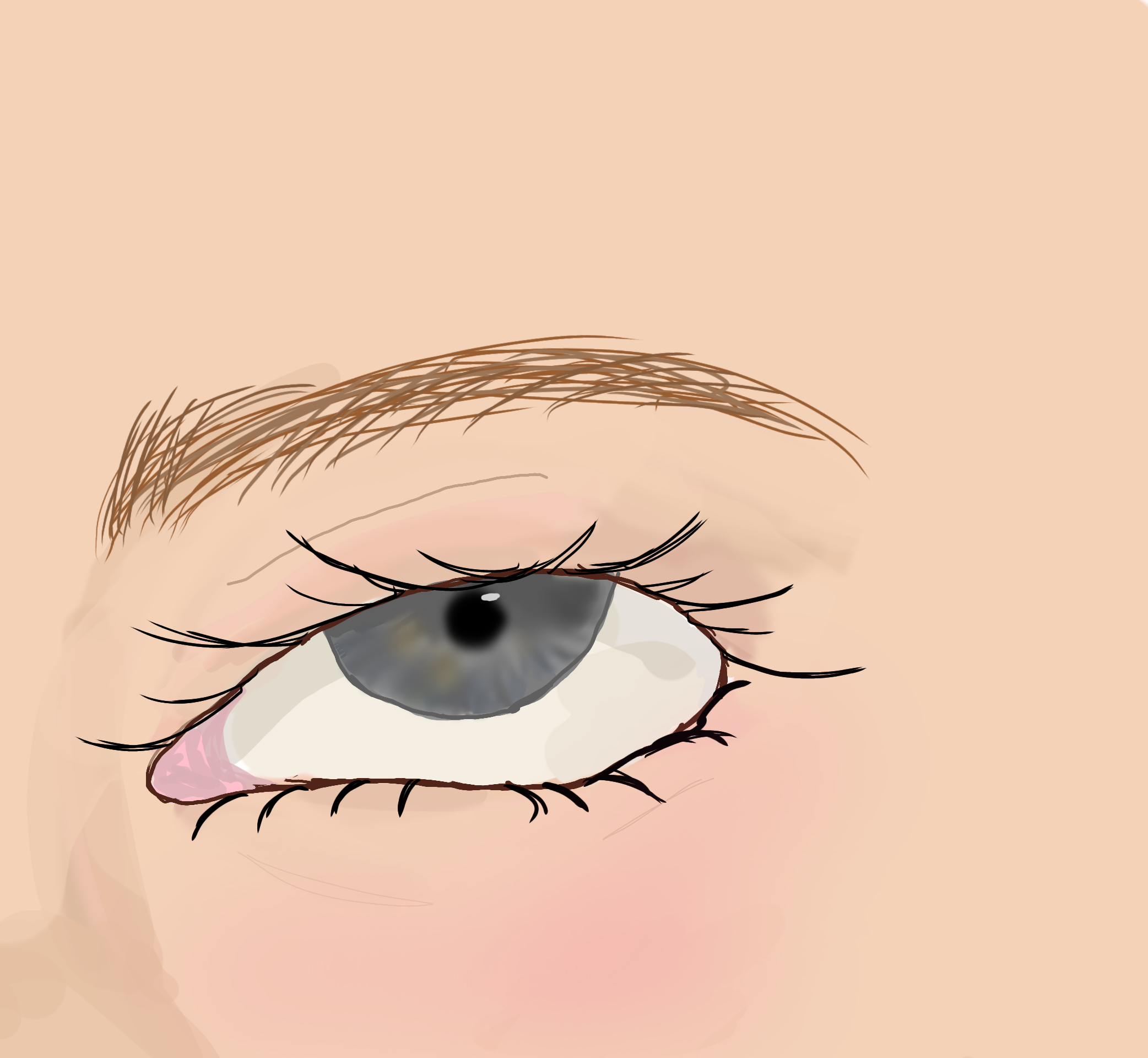 Gray Eye - ibisPaint