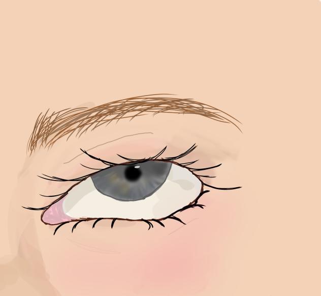 Gray Eye - ibisPaint