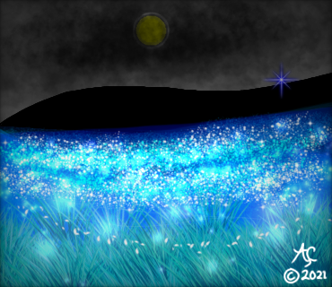 Sparkling Night - ibisPaint