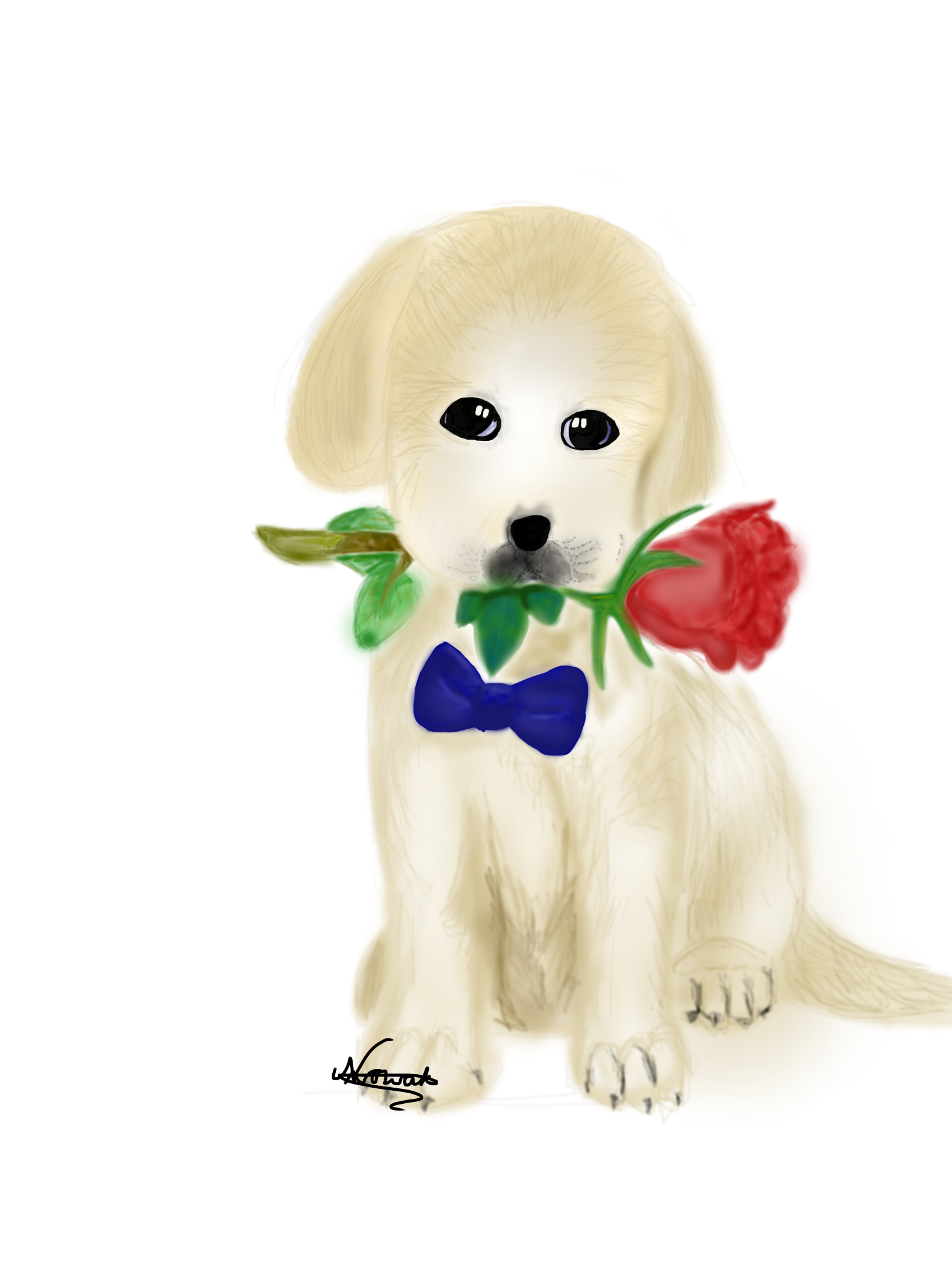 Labrador Puppy - ibisPaint