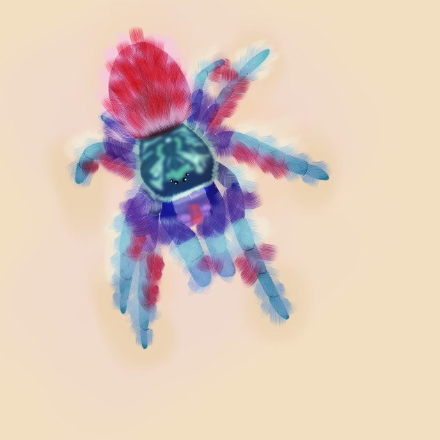 Antilles pinktoe tarantula - ibisPaint