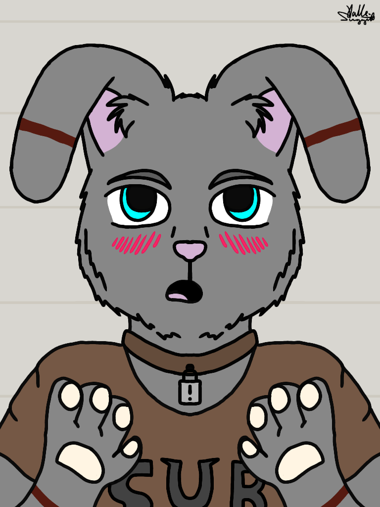 Bunny Sub - ibisPaint