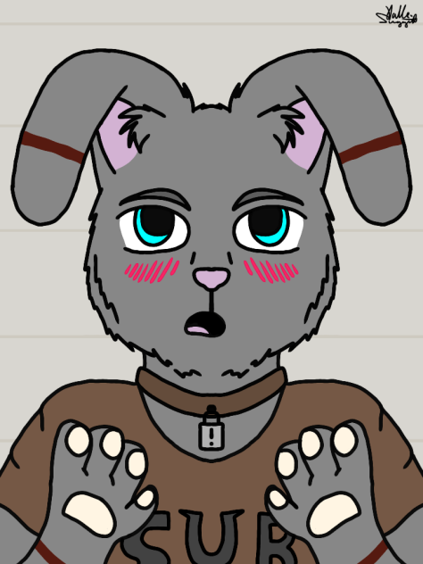 Bunny Sub - ibisPaint