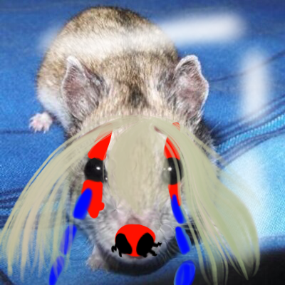 Depressed hamster - ibisPaint