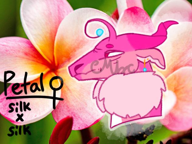 my old lady silkwing - ibisPaint