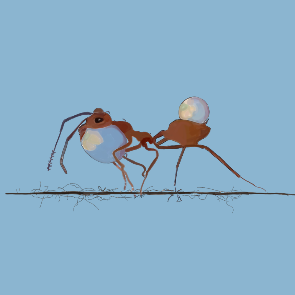 Ant Transporting Water Droplets - ibisPaint