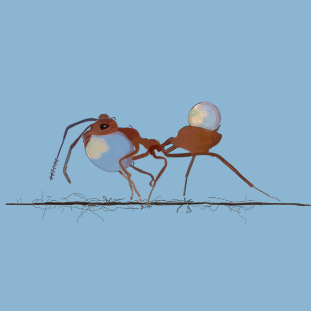 Ant Transporting Water Droplets - ibisPaint
