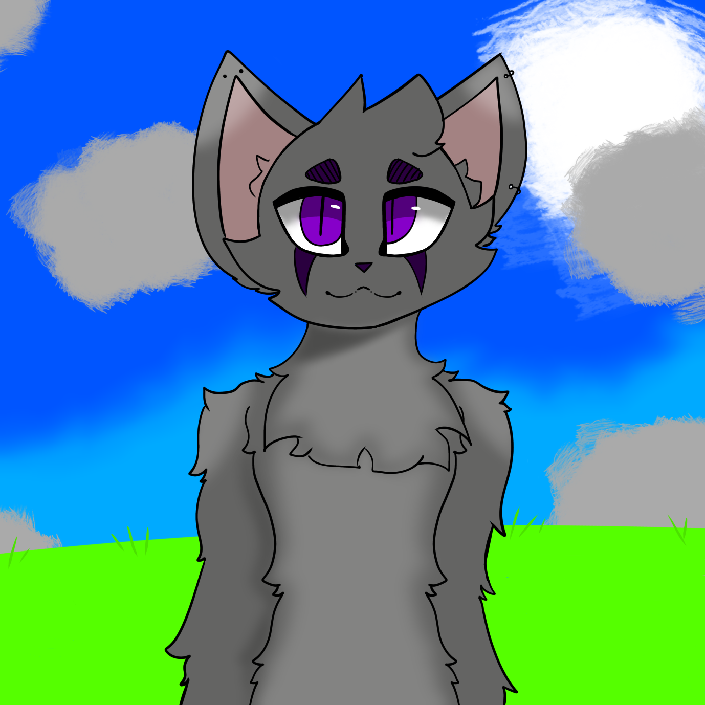 Furry - ibisPaint